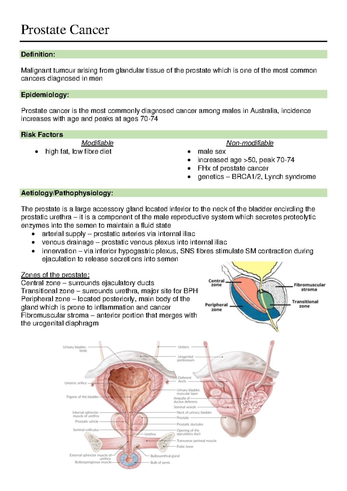 Prostatic Disease - Prostate Cancer Definition: Malignant tumour ...