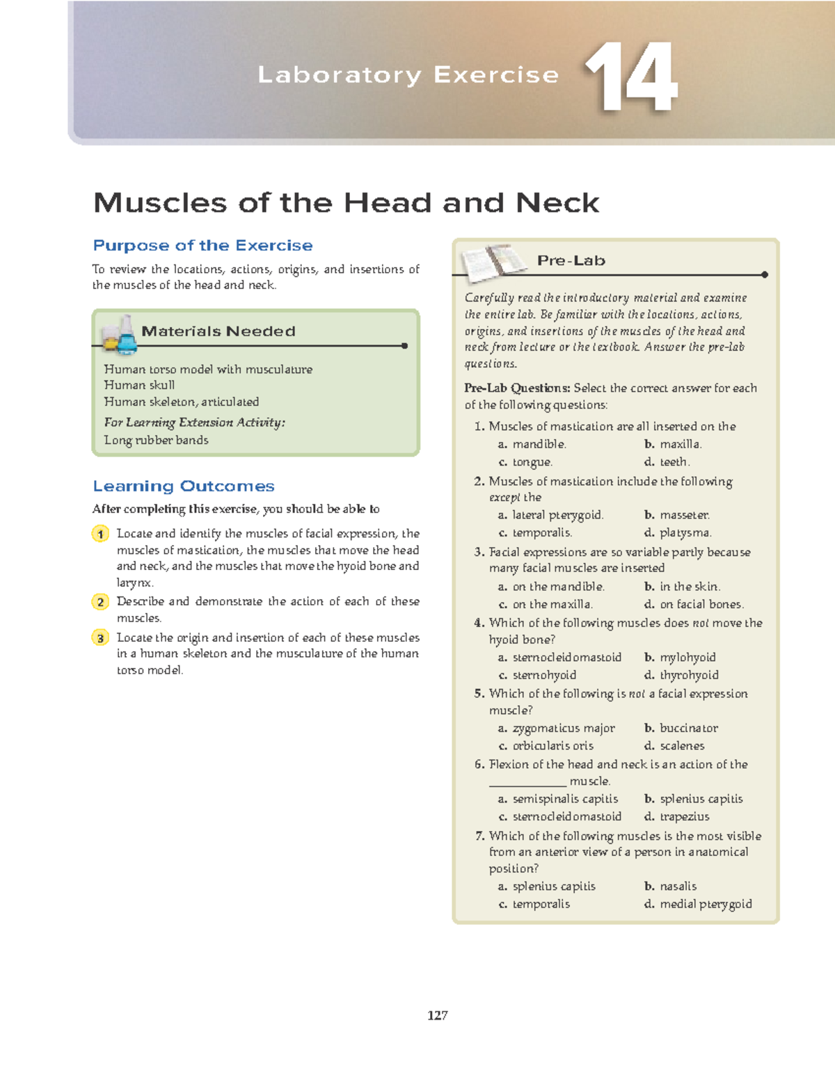 LAB 14 Muscles OF THE HEAD AND NECK - Muscles of the Head and Neck 14 ...