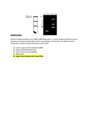 Lab Report 1 - Agarose Gel Electrophoresis - MOLECULAR BIOLOGY 1 RONI ...