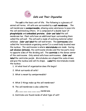 Pogil+Nutrient+Cycles+Student+Models - 98-349 - Model 1 – The Water ...