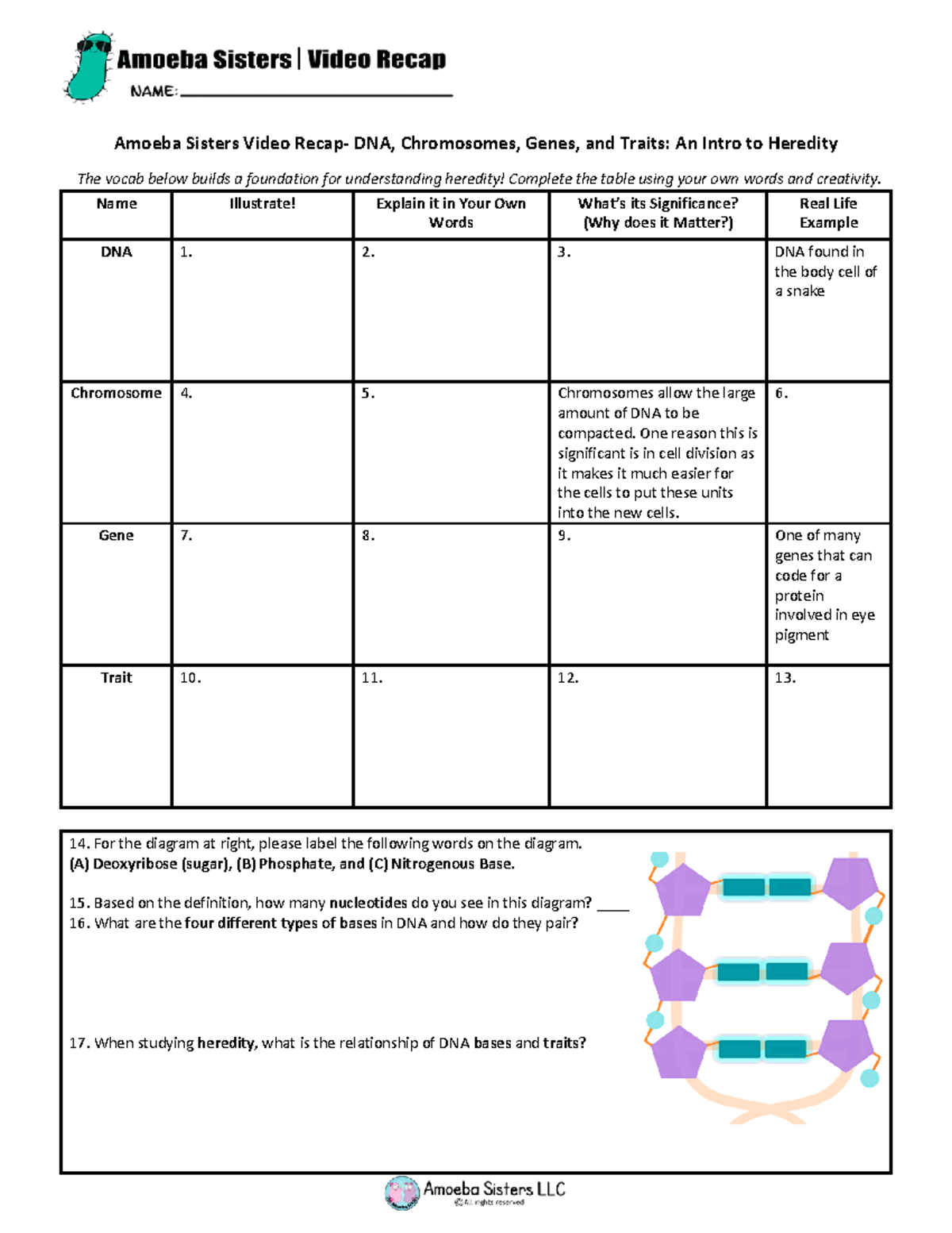DNA and Chromosomes Amoeba Sisters (E-Learning) - Amoeba Sisters Video ...