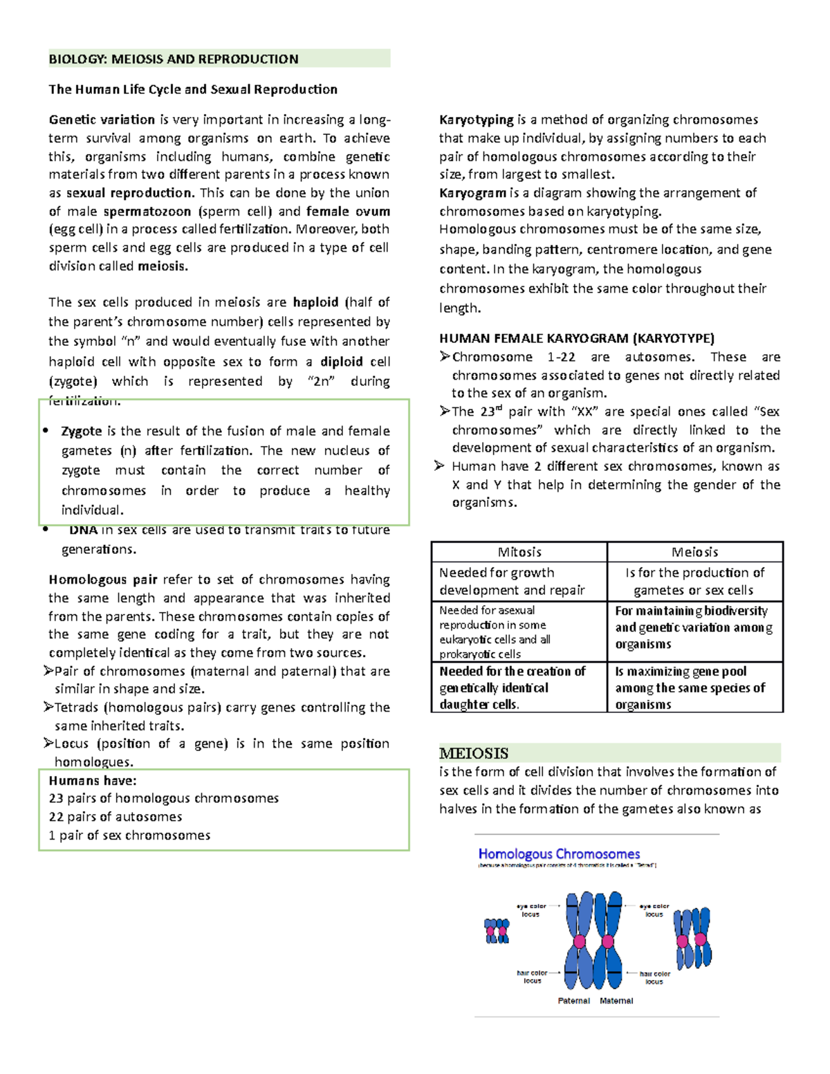 Meiosis AND Reproduction - BIOLOGY: MEIOSIS AND REPRODUCTION The Human ...