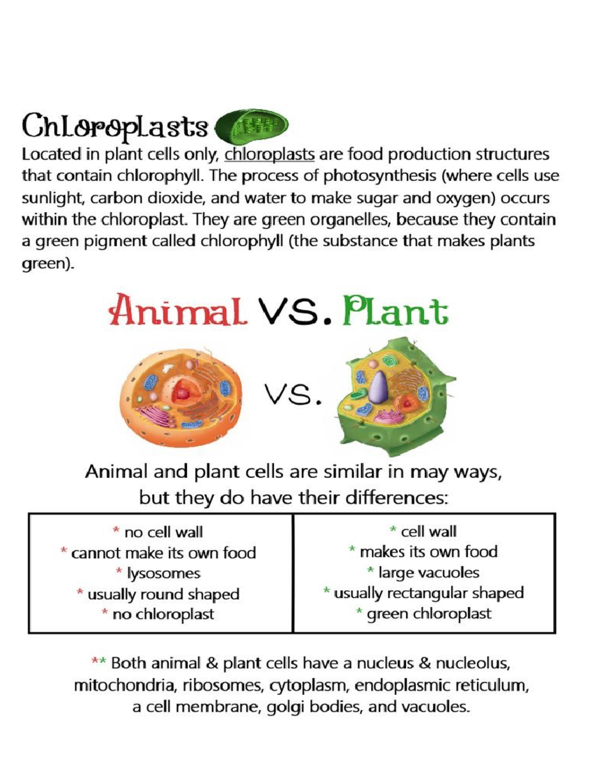 Animal vs Plant - Notes from Organic Chemistry Lectures. - CHEM-C 341 ...