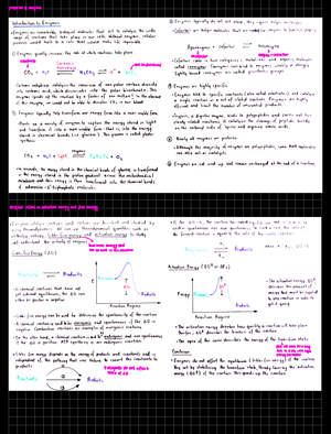 Biochemistry Excel Assignment - Name: Biochemistry Excel lab 1. Fit a ...