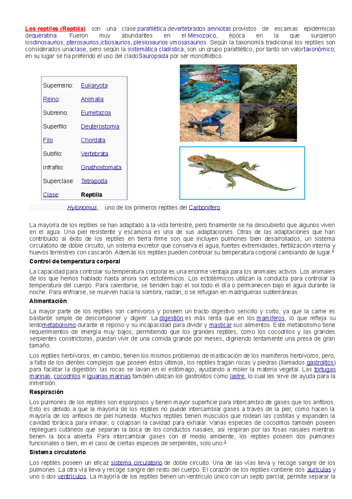 Los Reptiles - Apuntes 12 - Los reptiles ( Reptilia ) son una clase ...