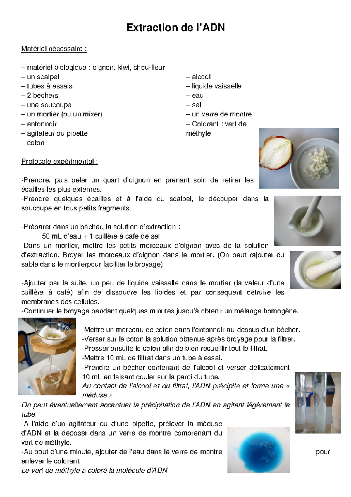 extraction d'ADN - Extraction de l’ADN Matériel nécessaire : matériel ...