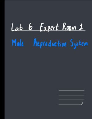 Module 3 DBA Study Guide - Module 3 DBA Study Guide Please note that ...