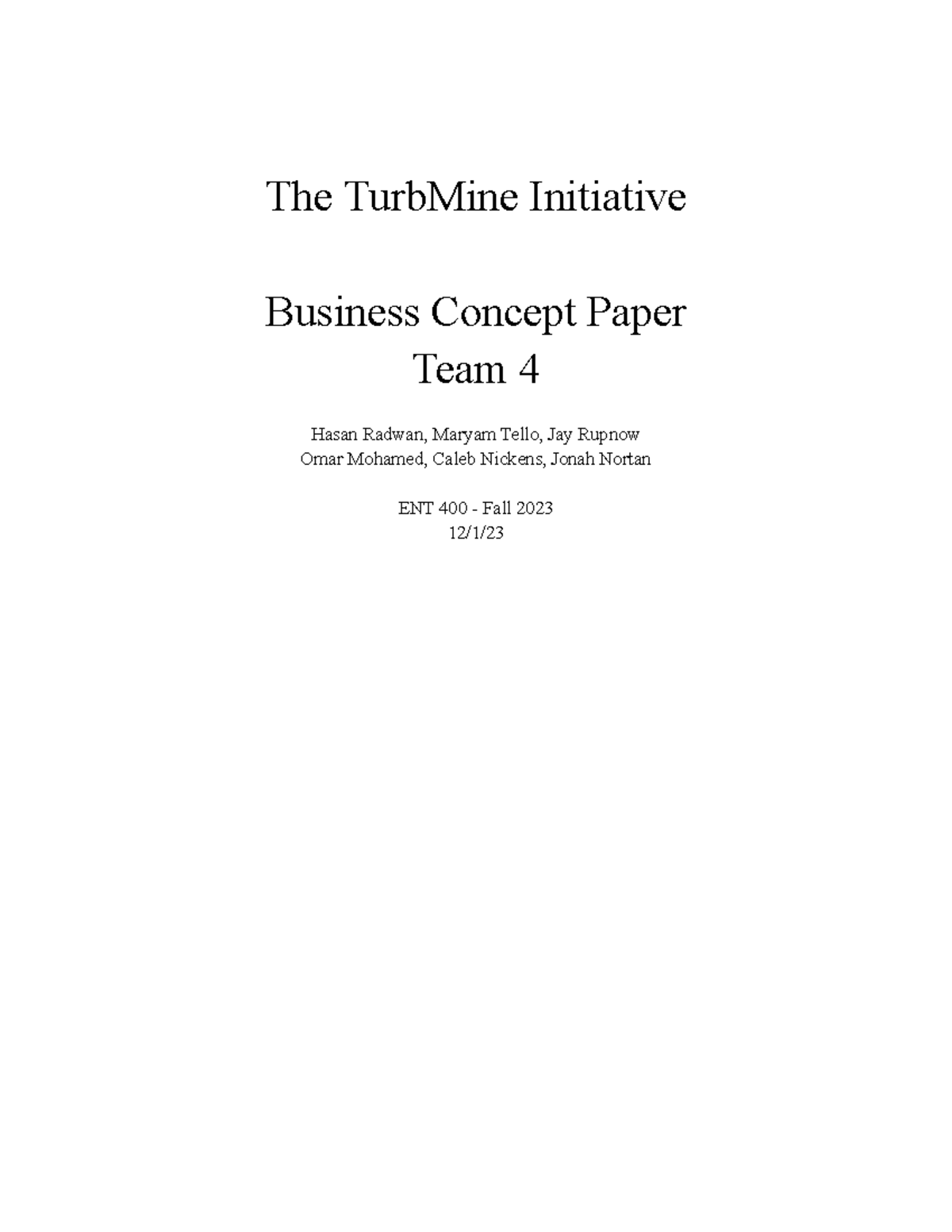Business Concept Paper - The TurbMine Initiative Business Concept Paper ...