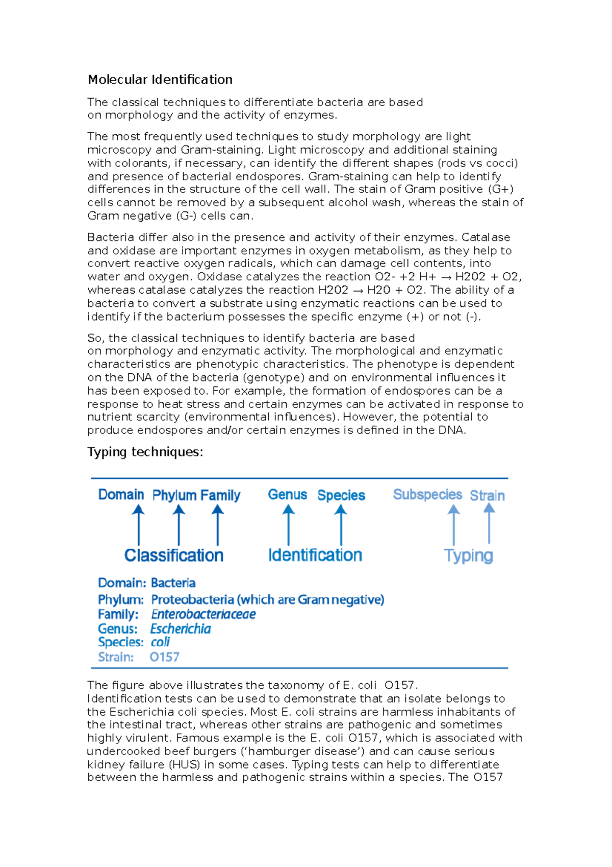Day 3 - Molecular Indentification - Molecular Identification The ...
