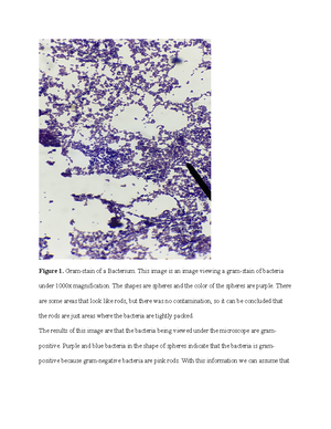 MCB 3020L Lab report guidelines - The writing of all sections of ...