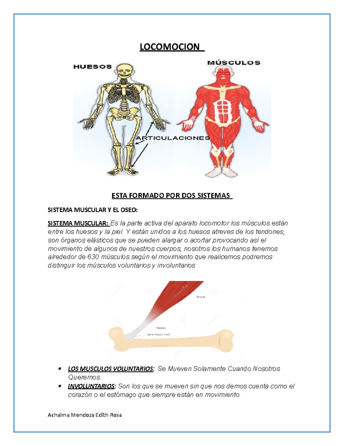Locomocion - LOCOMOCION ESTA FORMADO POR DOS SISTEMAS SISTEMA MUSCULAR ...