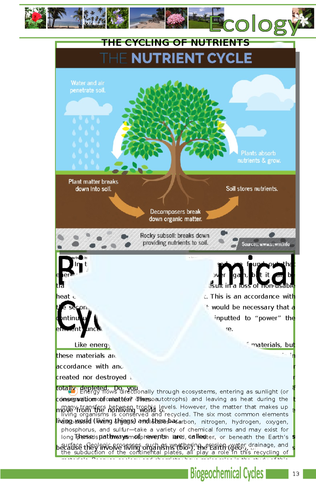 Biogeochemical Cycles - THE CYCLING OF NUTRIENTS In the previous topic ...