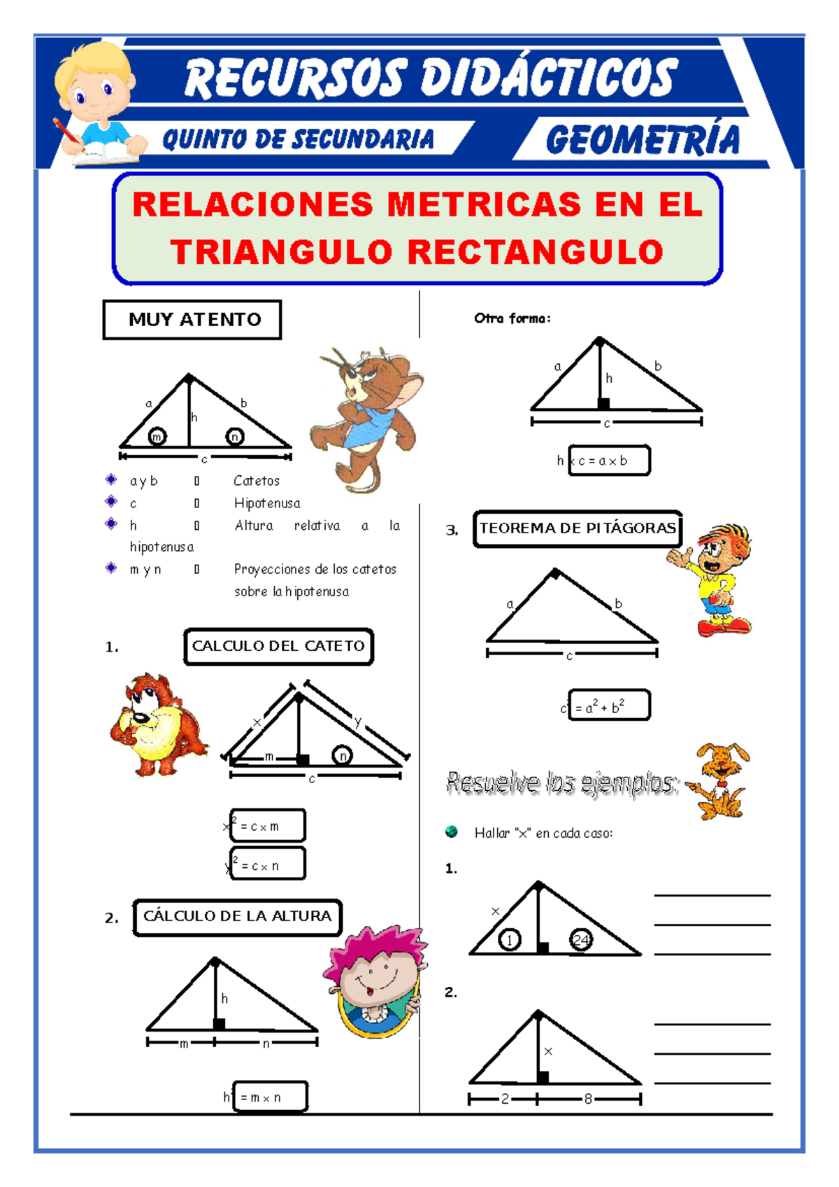 Ejercicios de Relaciones Métricas en Triangulos Rectangulos para Quinto ...