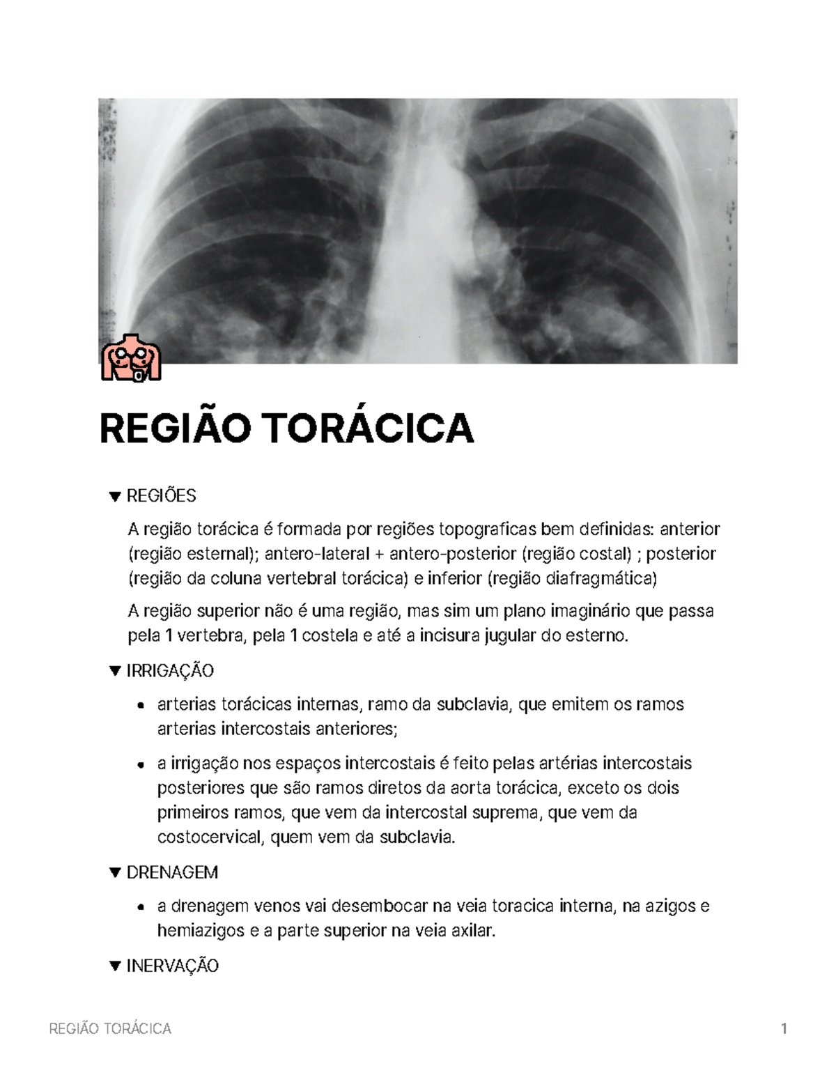 Topografia Região Torácica - REGIÃO TORÁCICA REGIÕES A região torácica ...