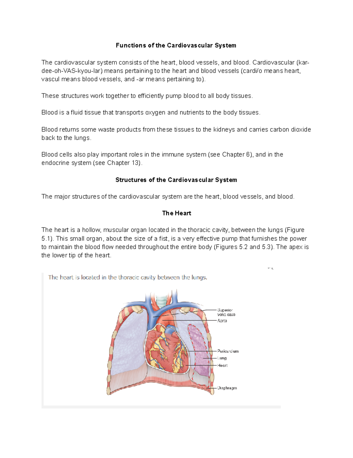 BISC 226 Cardiovascular System Notes - Functions of the Cardiovascular ...