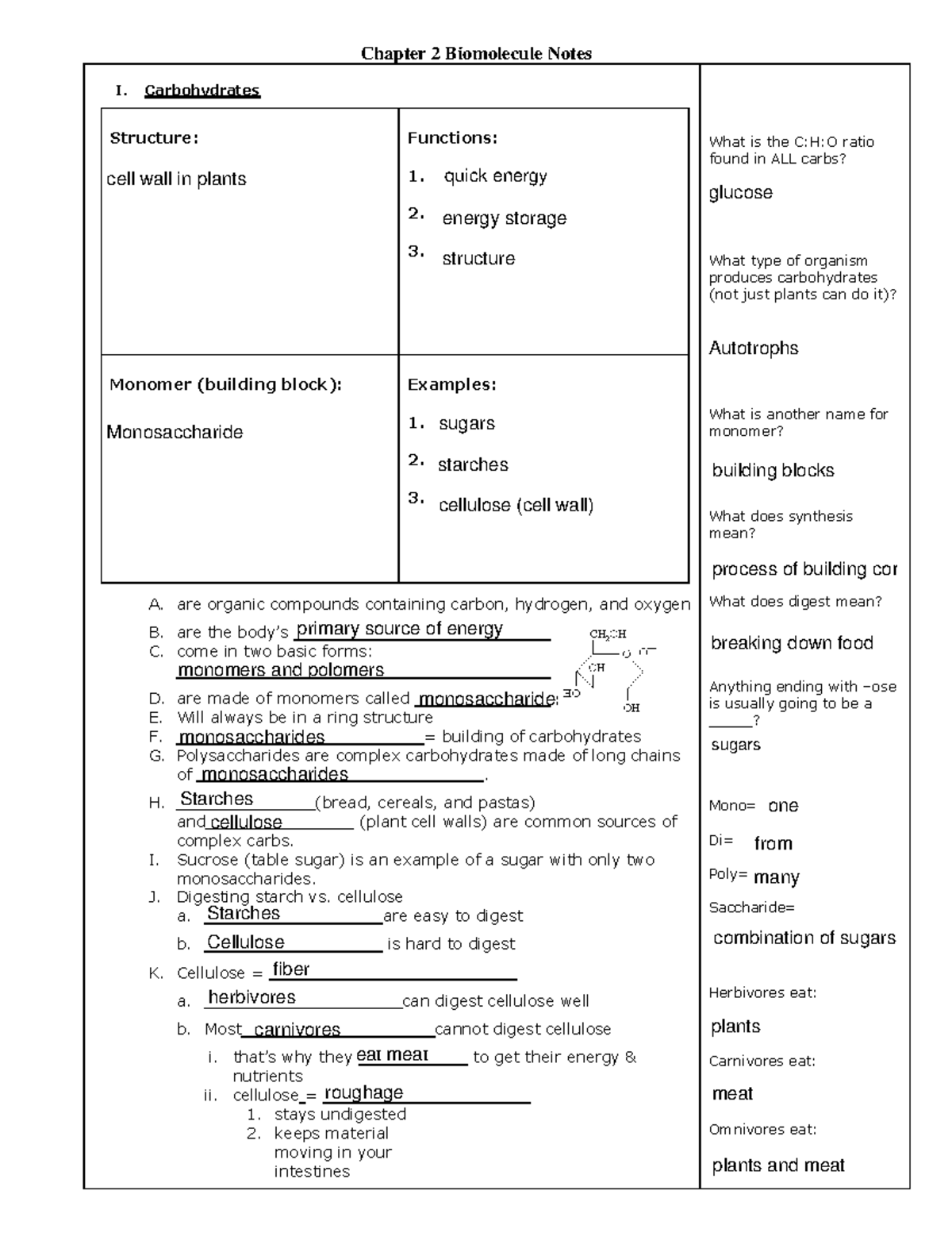 Biomolecules carbs lipids proteins nucacid notes Student 2020 Fill ...