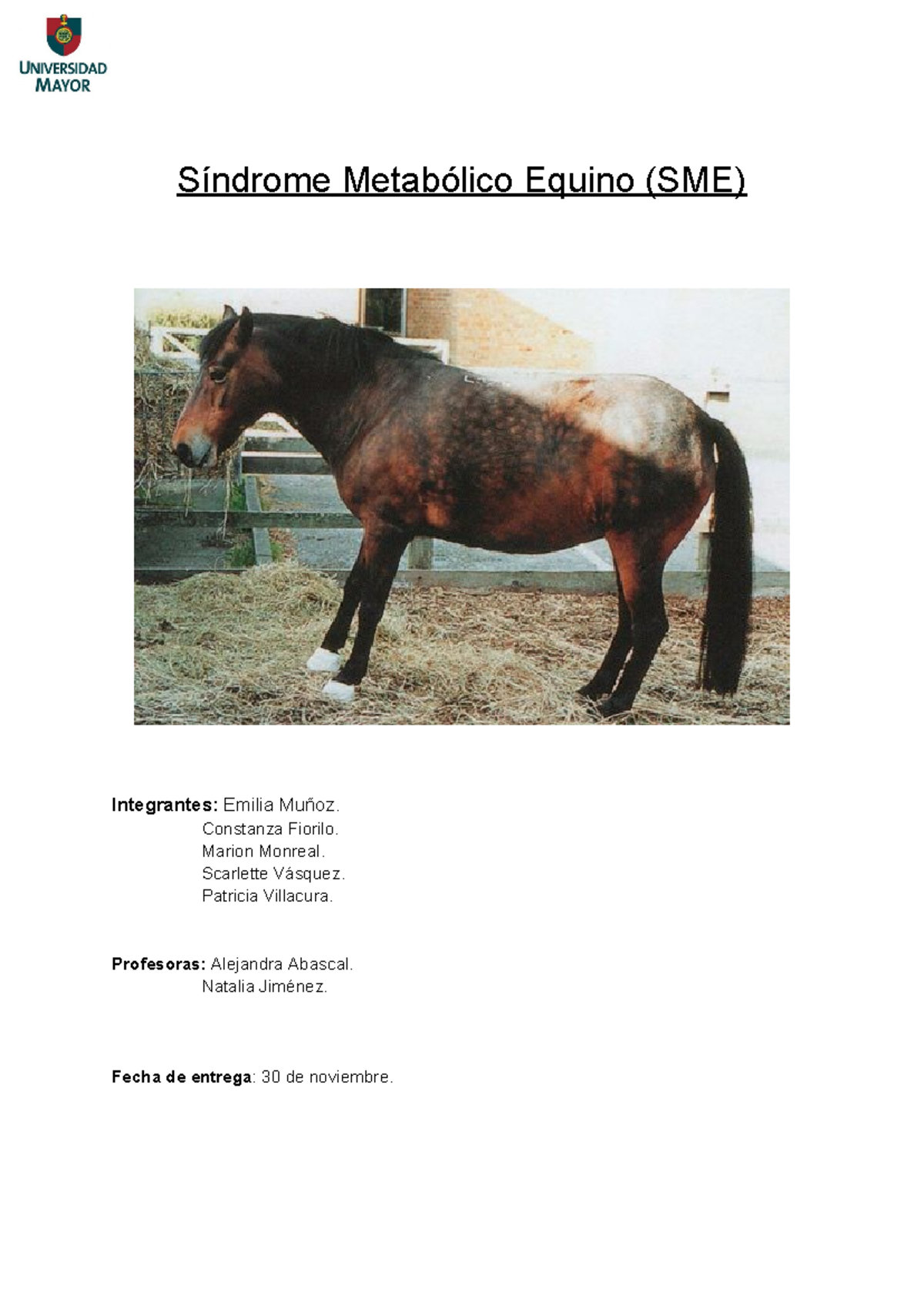 Sindrome Metabólico Equino - Síndrome Metabólico Equino (SME ...