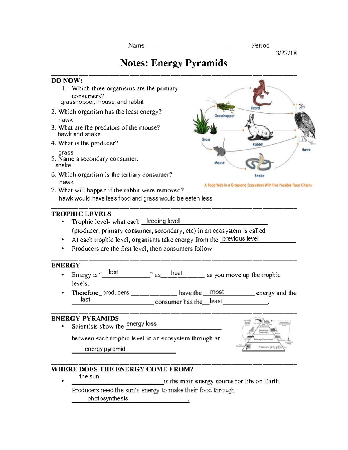 Energy pyramids notes 1 - Name_______________________________ Period ...
