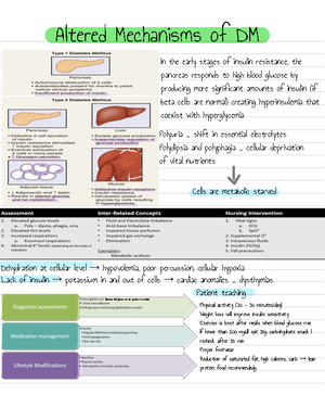 Glucose basics - Basics of Glucose Function ³ used as fuel for our CNS ...