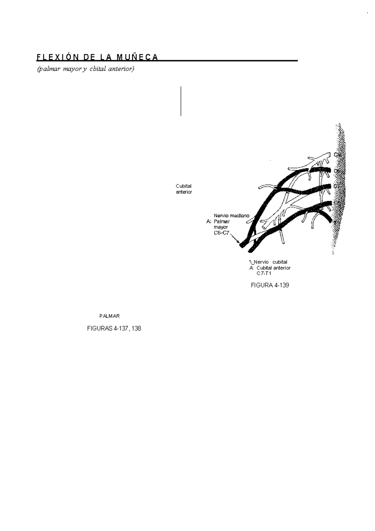 3.balance muscular muñeca - Cubital anterior . F L E X I Ó N D E L A M ...