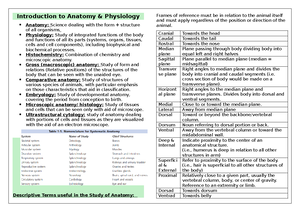 Annotated Brain - DAF 200 - Studocu