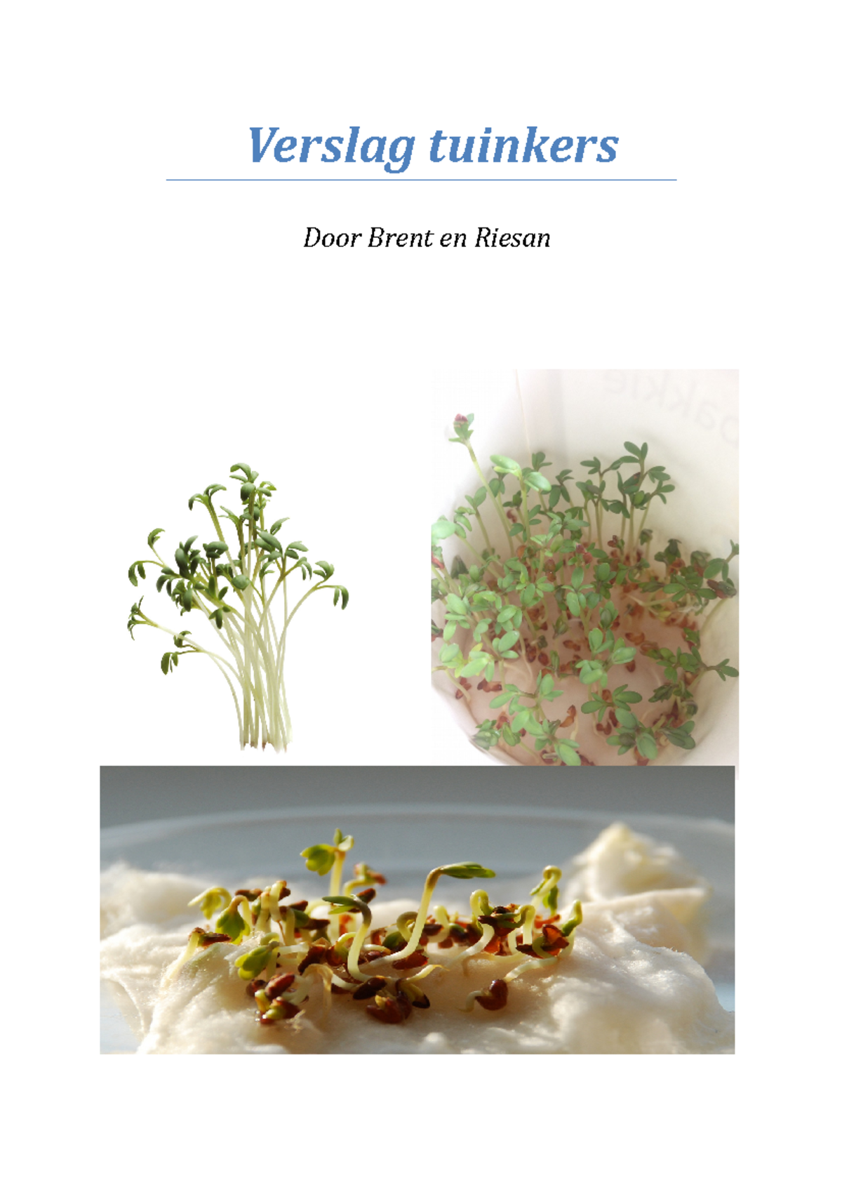 Verslag tuinkers - Cijfer: 9 - Verslag tuinkers Door Brent en Riesan ...