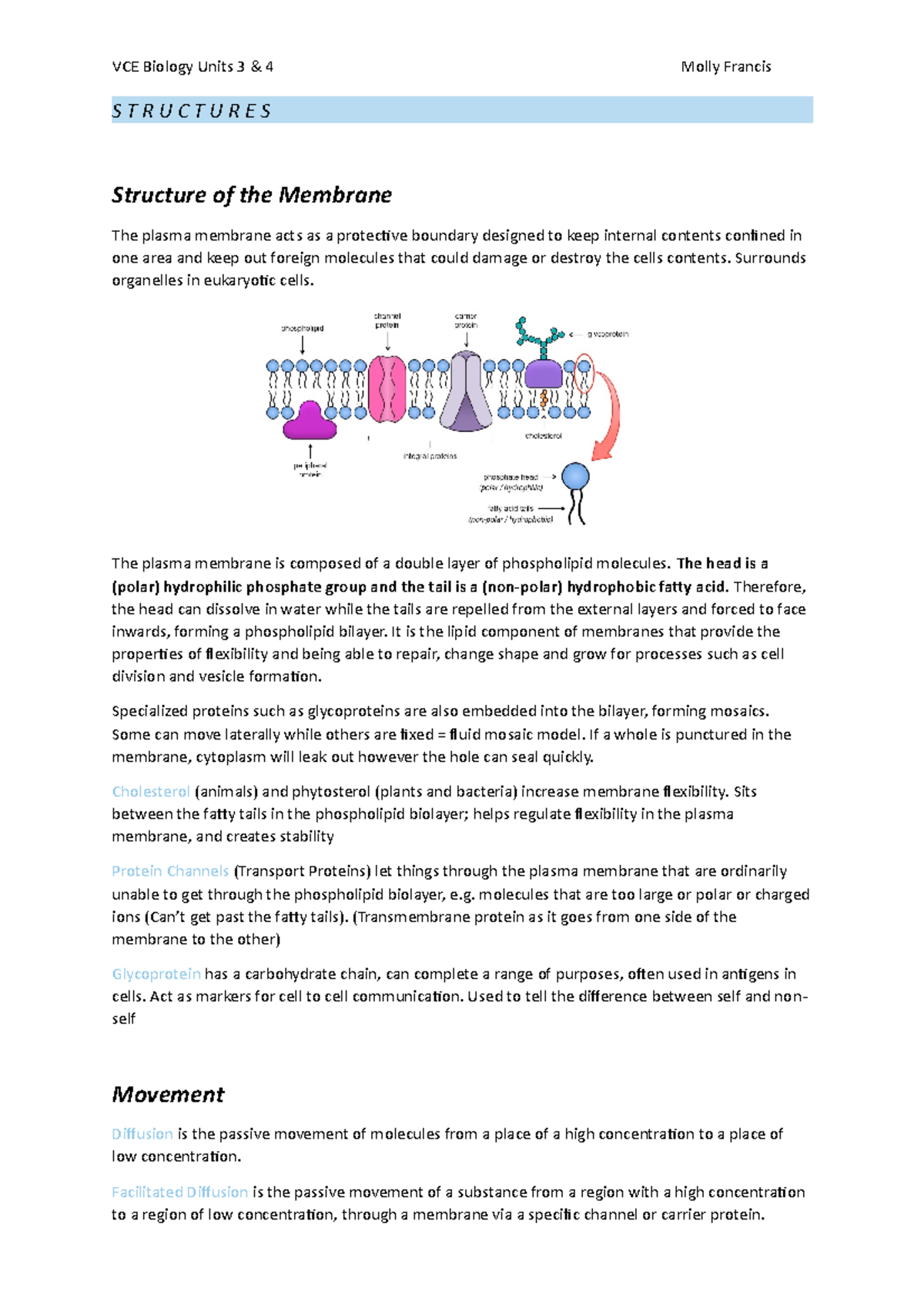 Molly's biology notes - S T R U C T U R E S Structure of the Membrane ...