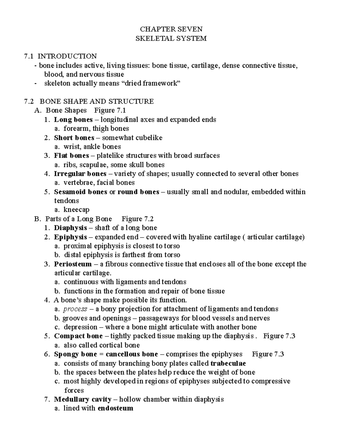 Chapter Seven lecture notes- 225-001 - CHAPTER SEVEN SKELETAL SYSTEM 7 ...