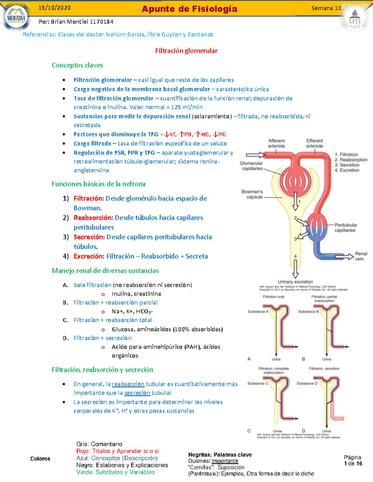 Fisiología: Filtración glomerular y factores neuro humorales ...