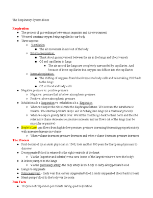 Nervous System Anatomy - Warning: TT: undefined function: 32 Warning: TT: undefined function: 32 ...