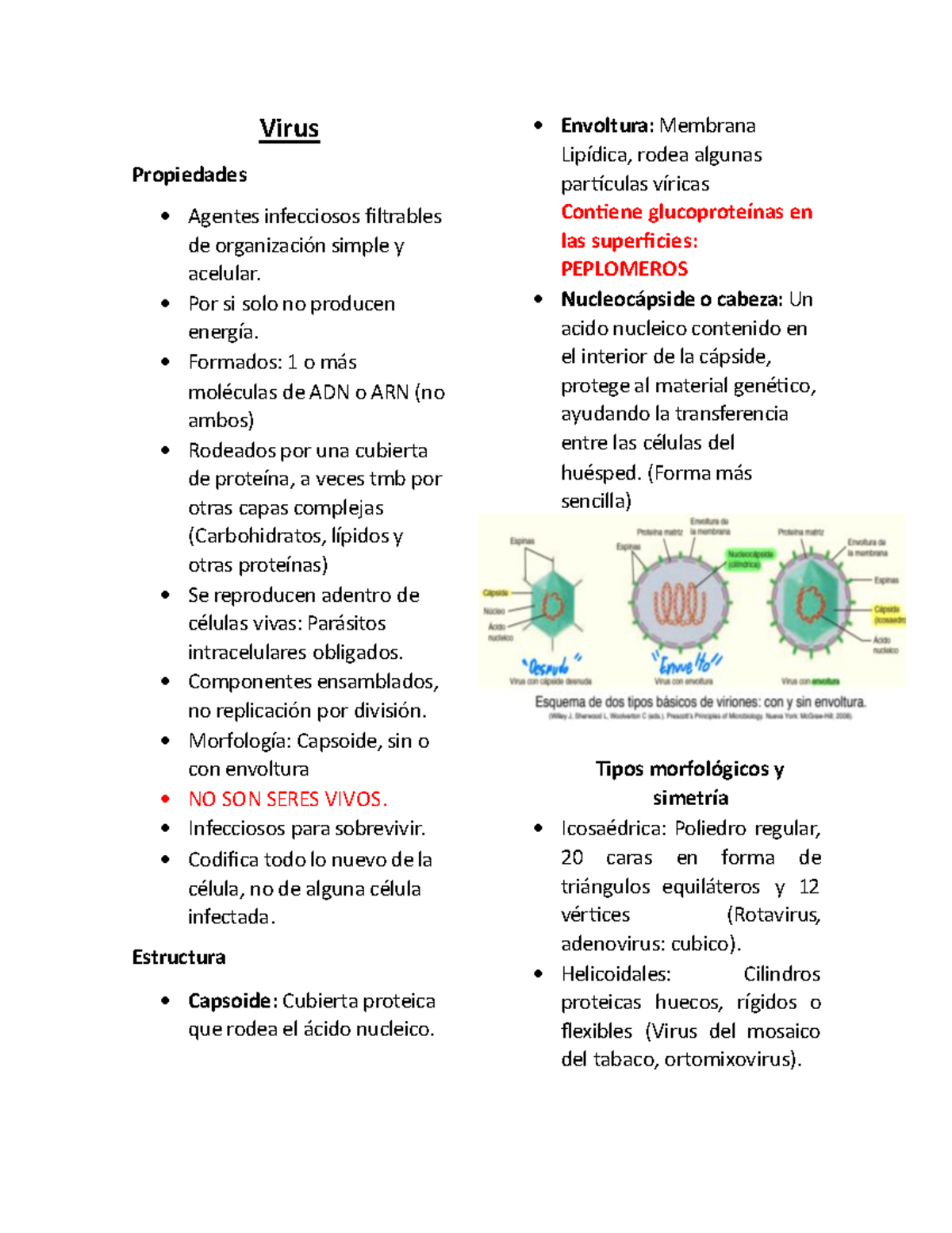 Estructura virus y bacterias - Virus Propiedades • Agentes infecciosos ...