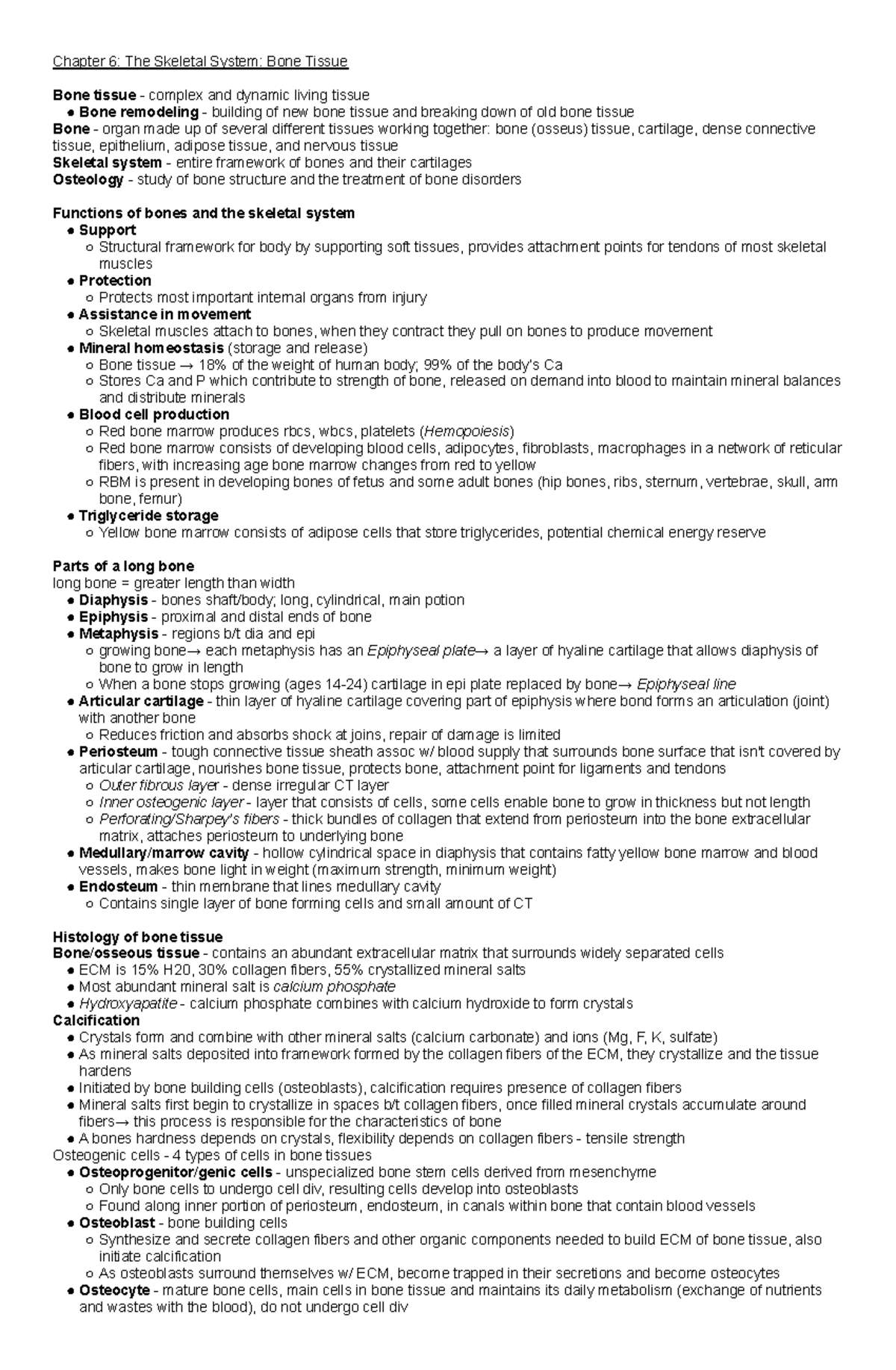 Chapter 6 Skeletal System - Chapter 6: The Skeletal System: Bone Tissue ...