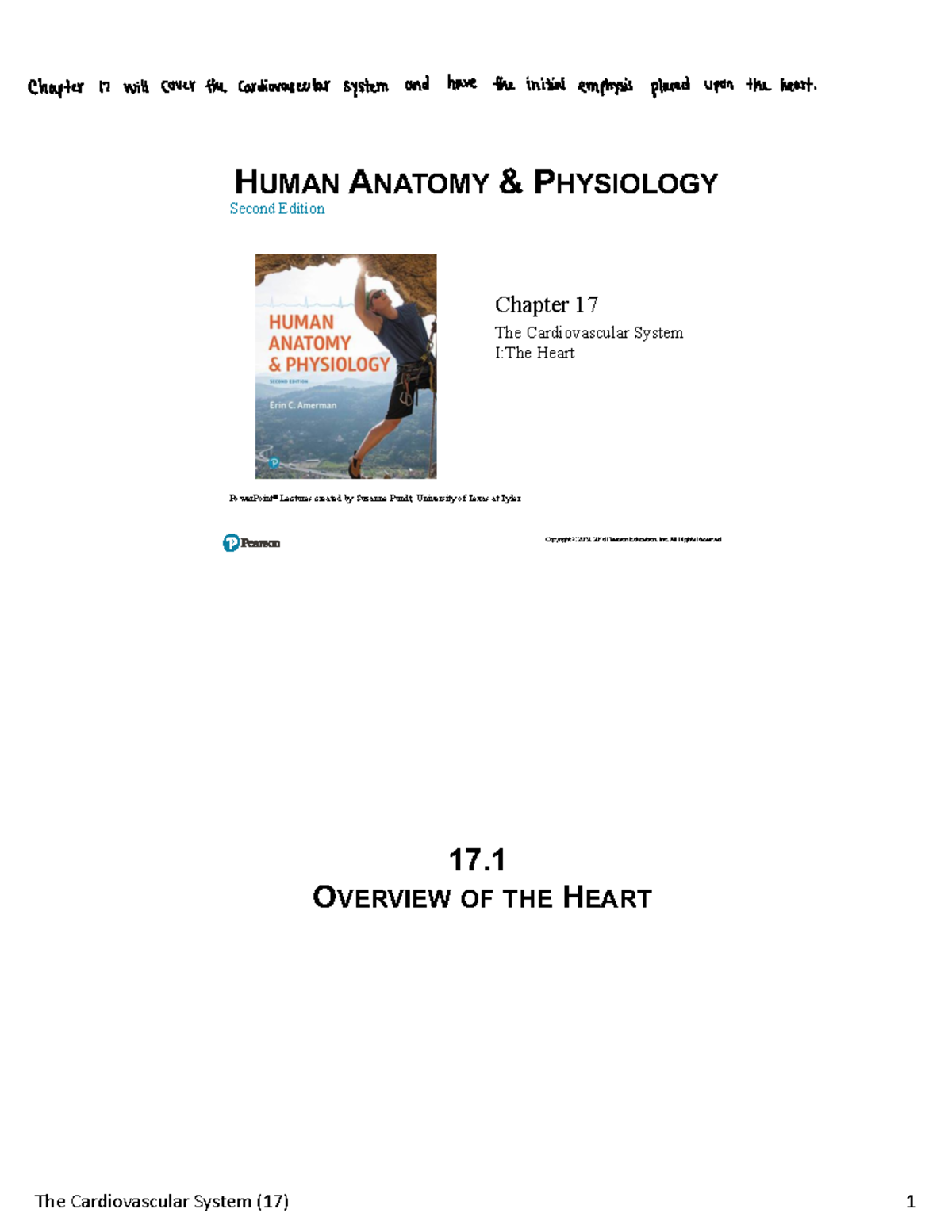 003 notability - class notes - HUMANANATOMY& PHYSIOLOGY Second Edition ...