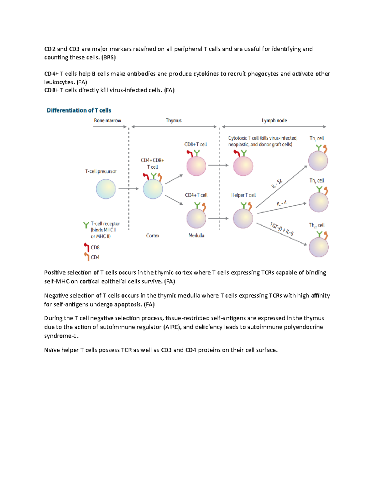 Immunology CD cells - CD2 and CD3 are major markers retained on all ...