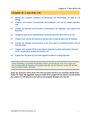 Ch 6.5 Mitochondria and cloroplasts - Chapter 6: A Tour of the Cell 6 ...