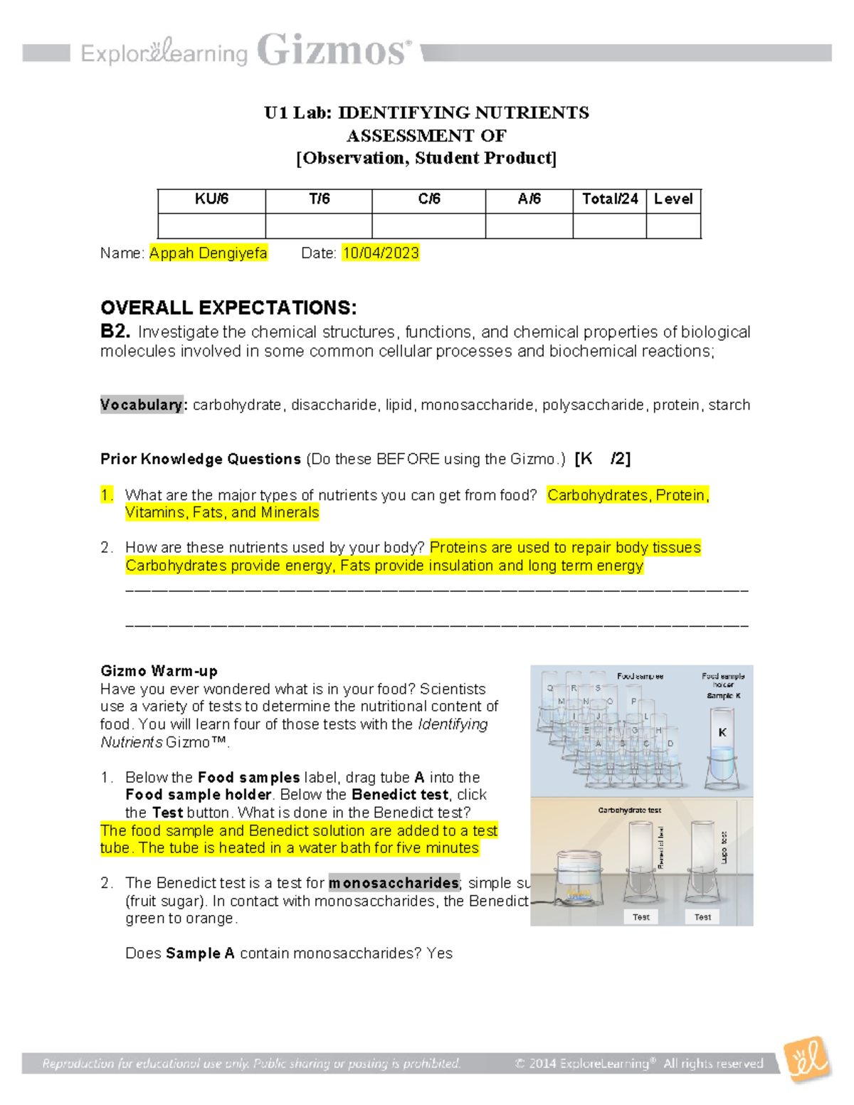 U1Lab Identifying Nutrients SE - U1 Lab: IDENTIFYING NUTRIENTS ...