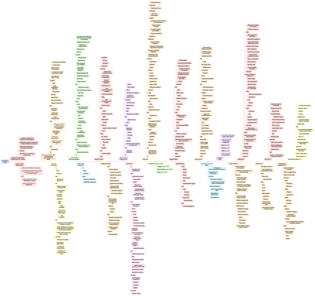 Connective tissue Mindmap; definition, general characteristics and ...