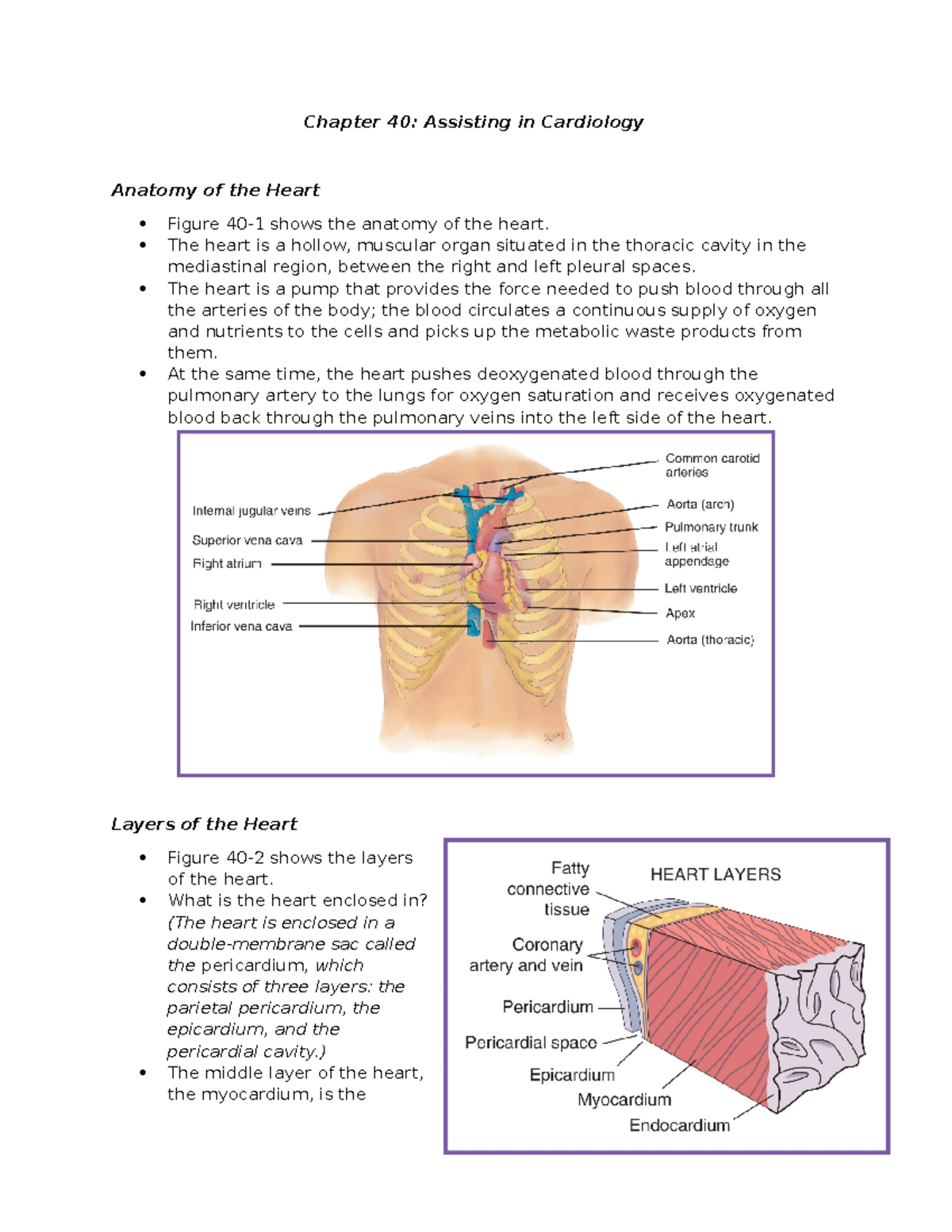 Chapter 40 Assisting in Cardiology - Chapter 40: Assisting in ...
