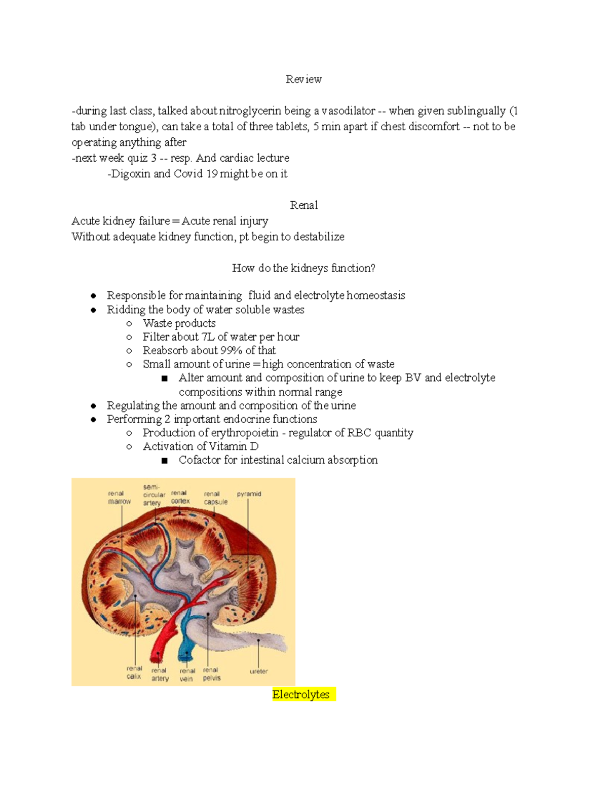 Patho Renal - Nursing Research Lecture Notes - Review -during last ...