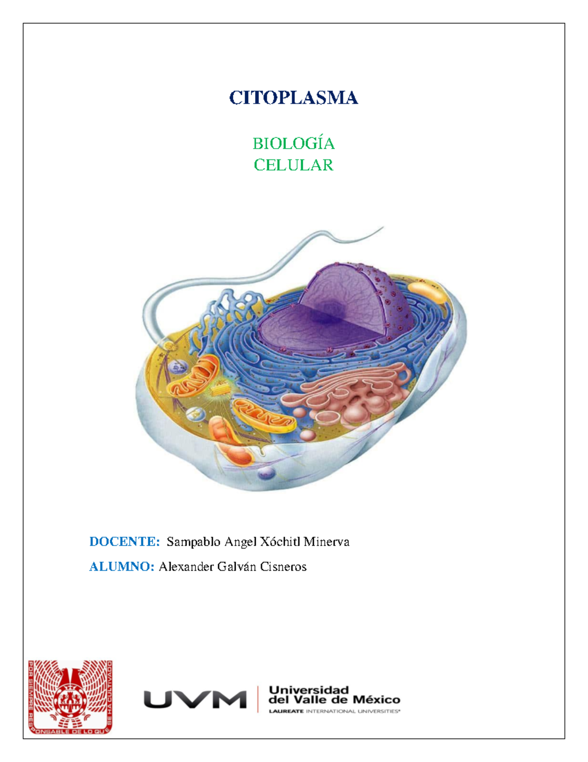 Citoplasma - apuntes - CITOPLASMA BIOLOGÍA CELULAR DOCENTE: Sampablo ...