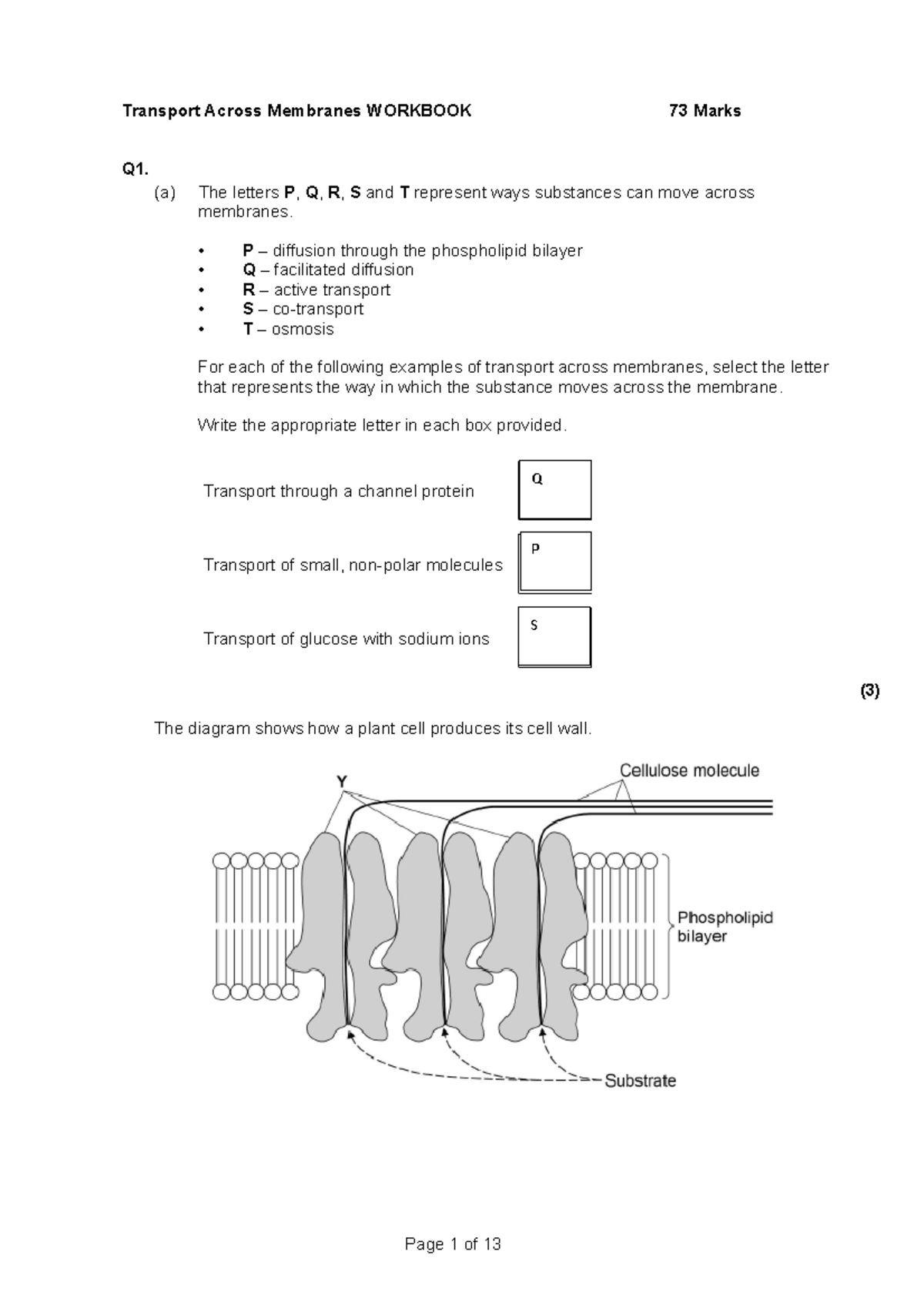 Membrane Transport workbook - Transport Across Membranes WORKBOOK 73 ...
