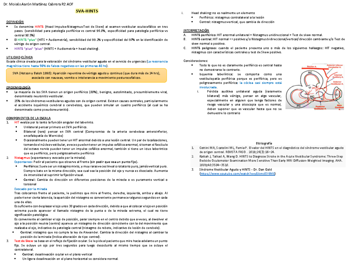 Hints - SVA-HINTS DEFINICI”N Se denomina HINTS (Head Impulse-Nistagmus ...