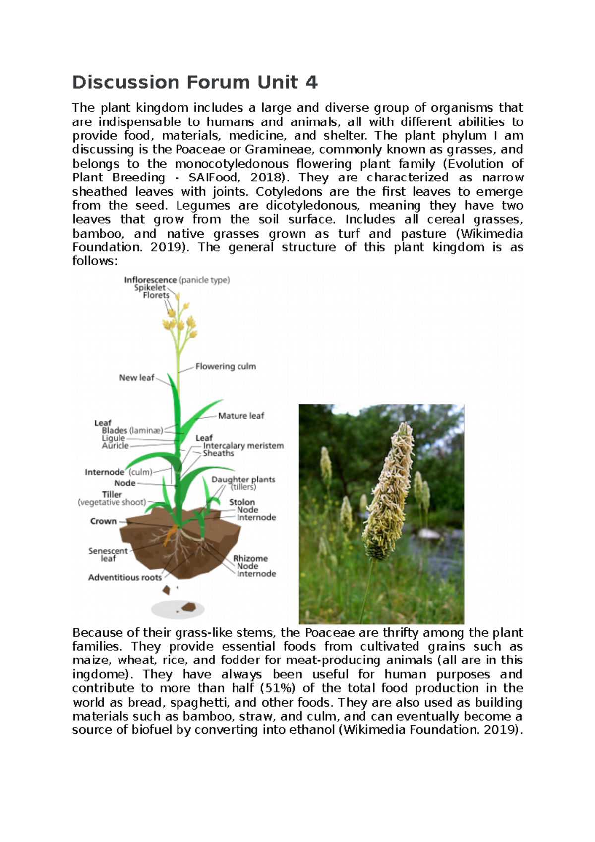 BIOL 1122-01 - AY2023-unit 4 - Discussion Forum Unit 4 The plant ...