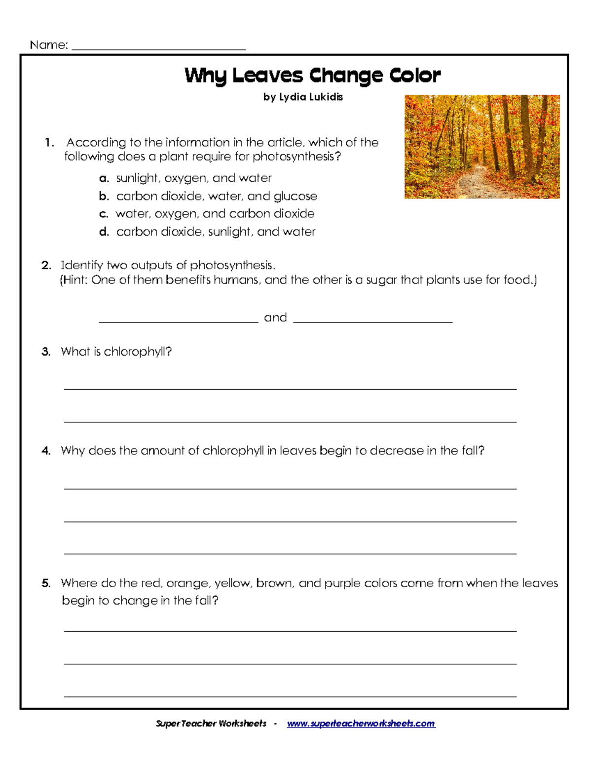 Why leaves change color questions - Name ...