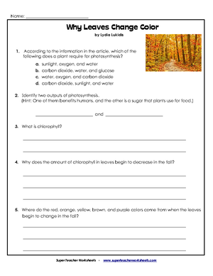Why leaves change color - Name: ______________________________ Why ...