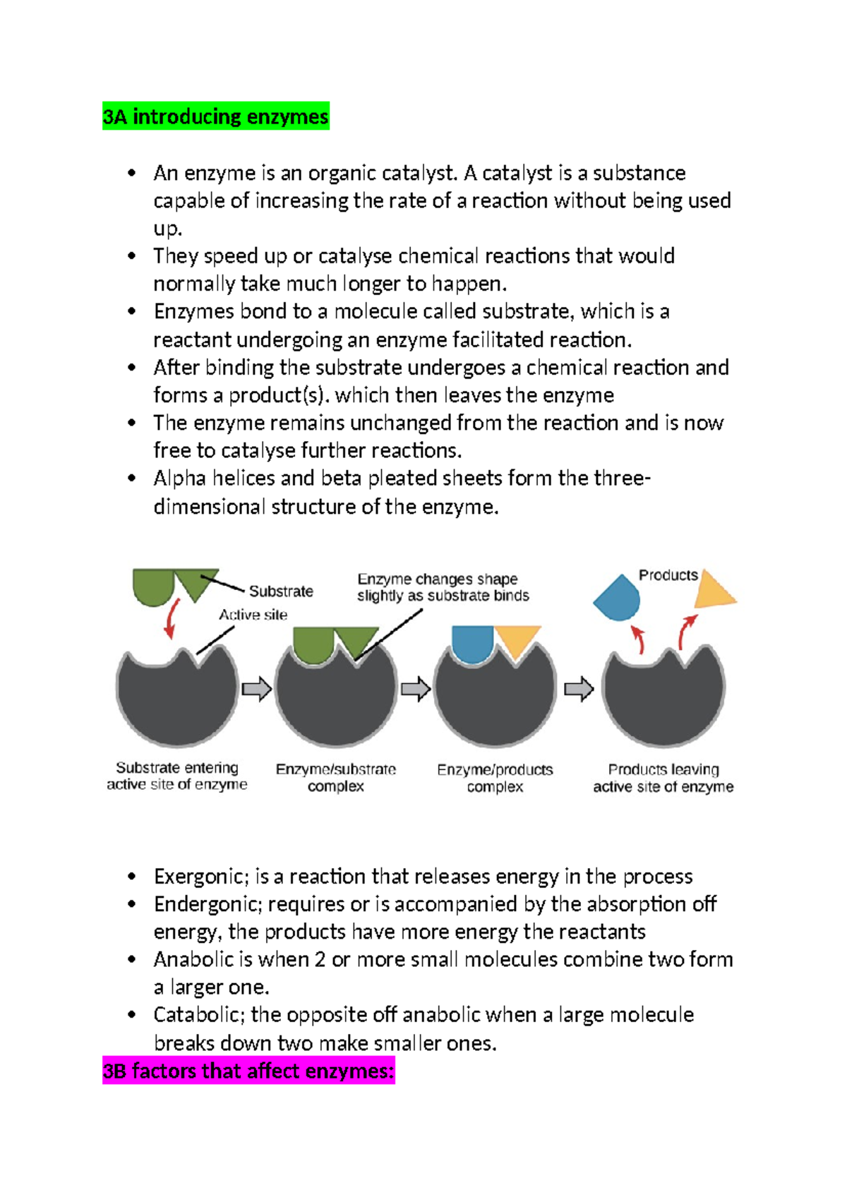 3A introducing enzymes - A catalyst is a substance capable of ...