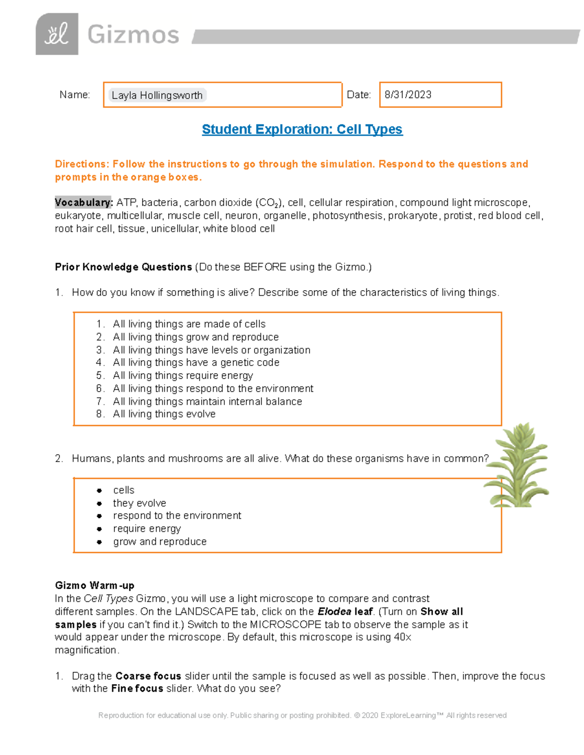 Layla Hollingsworth - Gizmo Cell Types and characteristics - 14405554 ...