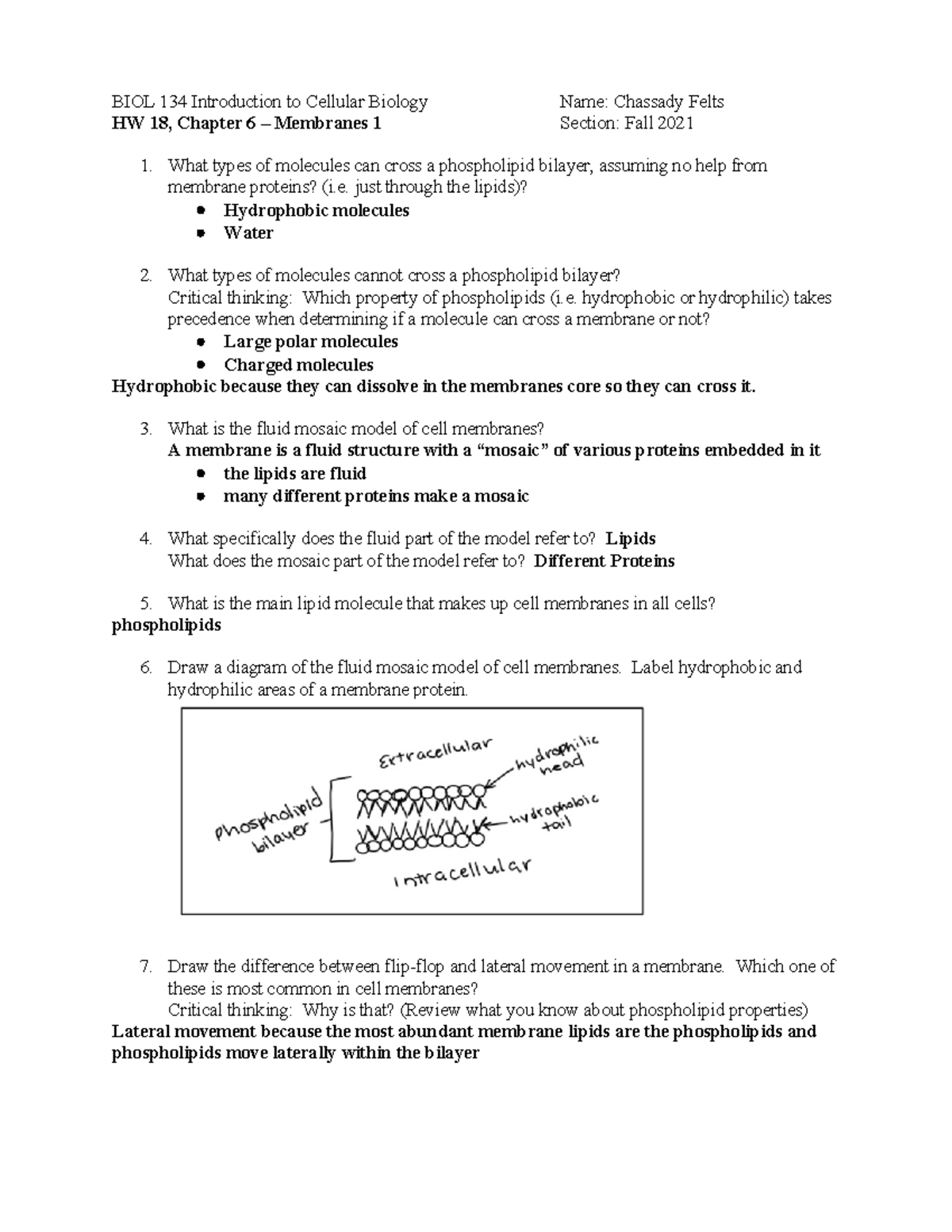 HW18+-+membranes 1 f21 - BIOL 134 Introduction to Cellular Biology Name: Chassady Felts HW 18 ...