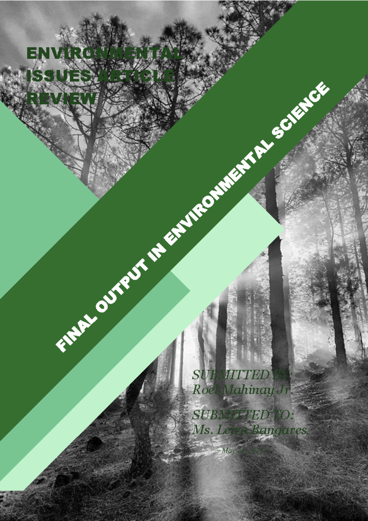 Environmental Issues Article Review - ENVIRONMENTAL ISSUES ARTICLE ...