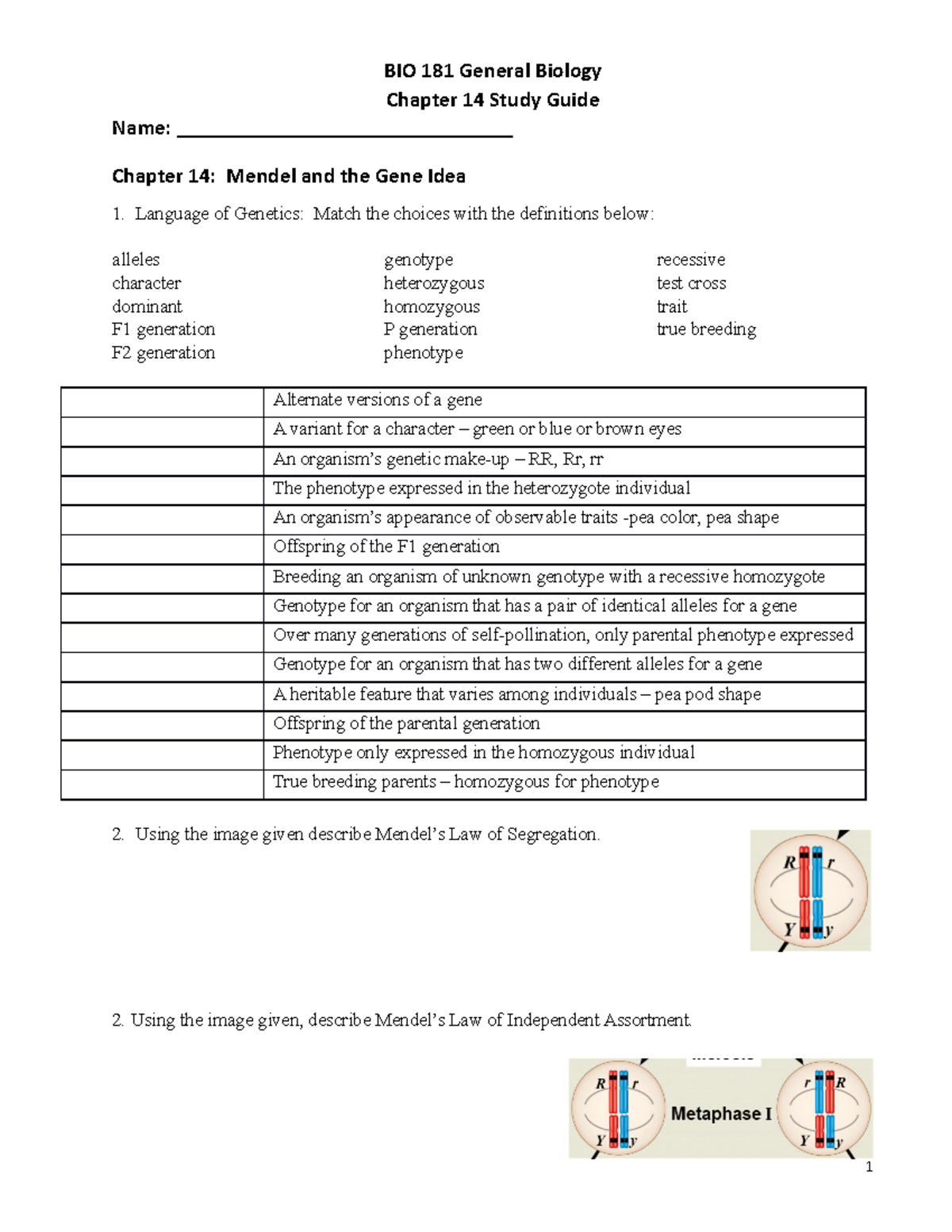 Chapter 14 Study Guide F23 - BIO 181 General Biology Chapter 14 Study ...